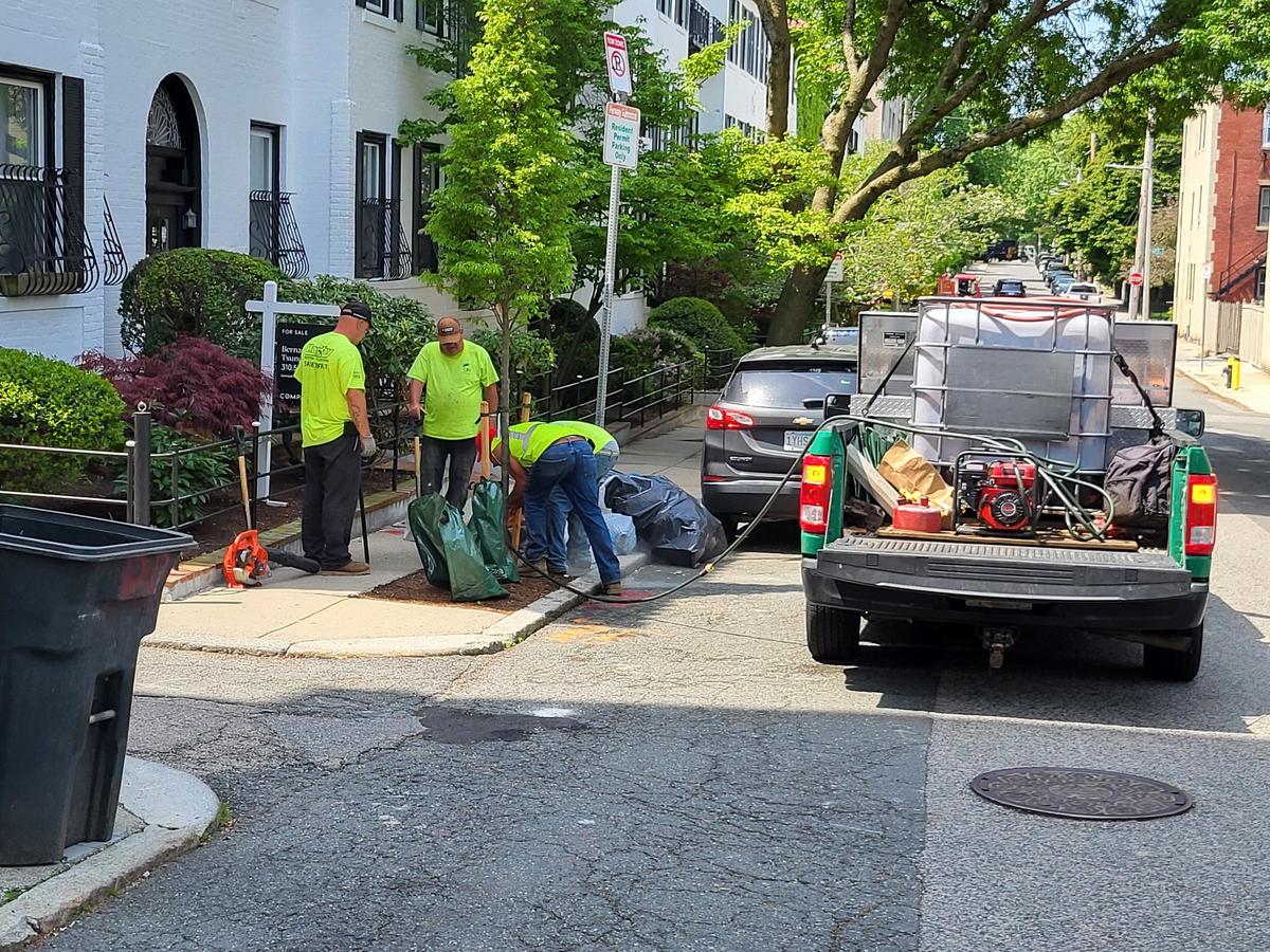 Urban Forestry Division has Banner Season for Street Tree Planting ...
